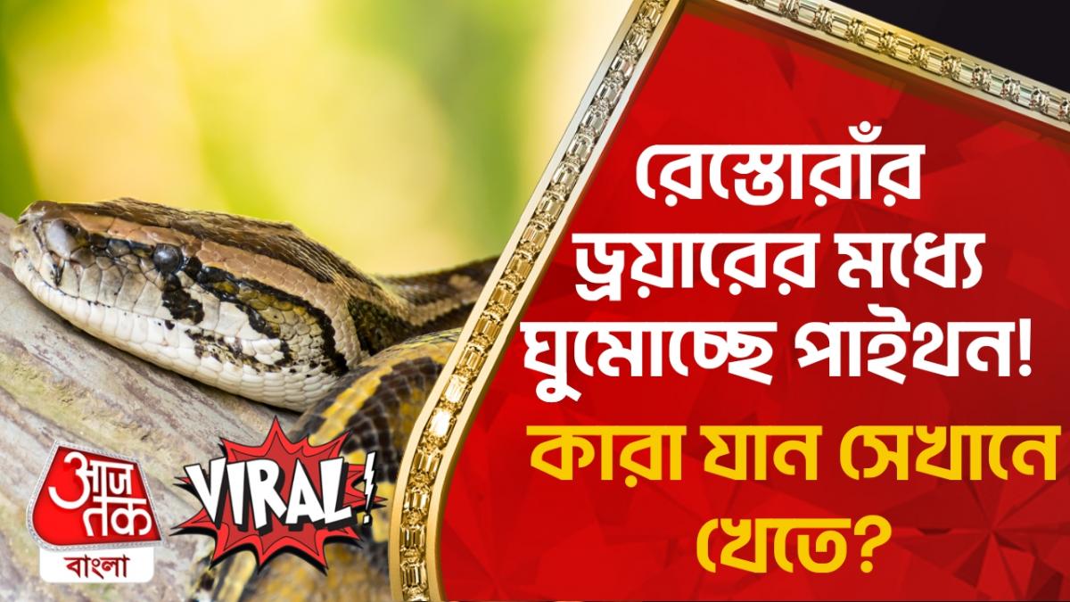 Pythons: রেস্তোরাঁর ড্রয়ারের মধ্য়ে ঘুুমোচ্ছে পাইথন! - Viral - Aaj Tak Bangla