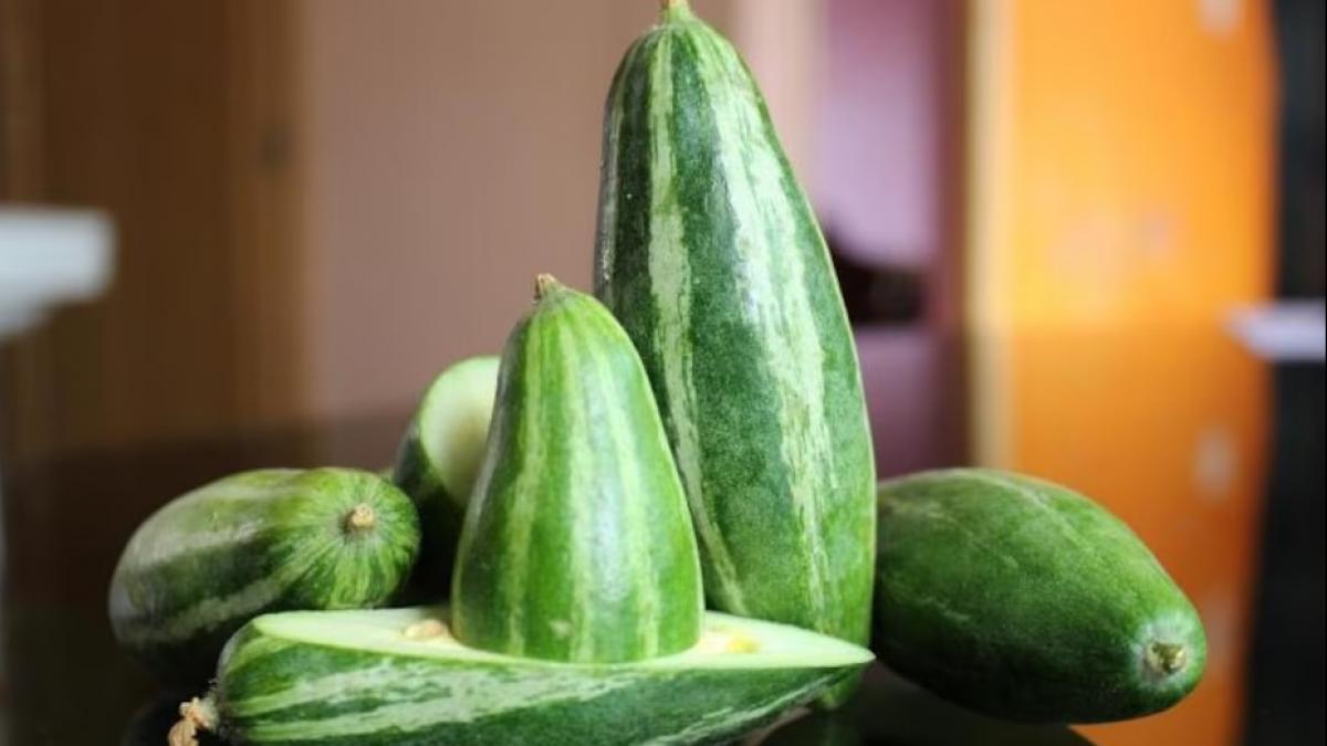 Patol Benefits: মাথার চুল বৃদ্ধি করে-ত্বক রাখে ভাল, রোজ পাতে রাখুন পটল ...