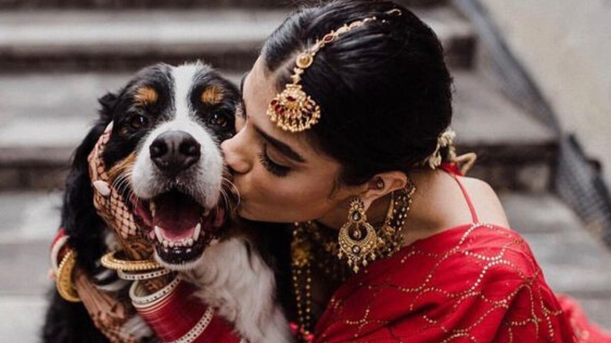 The Most Heartwarming Pictures Of Brides-To-Be With Their Dogs