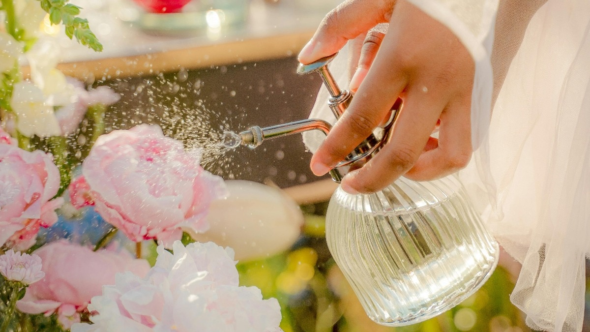 7 fruity scents that smell like summer in a bottle