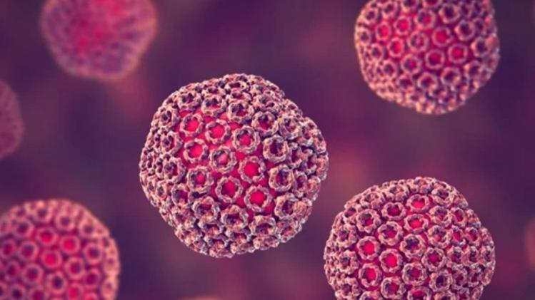 Covid-19 के बाद अब Rift Valley Fever का कहर, जानें कैसे फैलता है ...