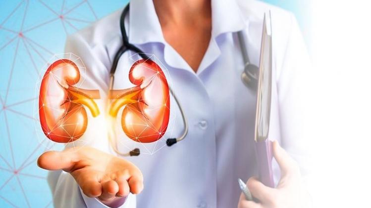 En-bloc Surgery: एम्स में हुआ देश का पहला एन-ब्लॉक किडनी ट्रांसप्लांट ...