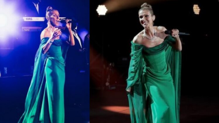 'टाइटैनिक' की मशहूर सिंगर सेलीन डियोन को है ये गंभीर बीमारी... 10 लाख ...