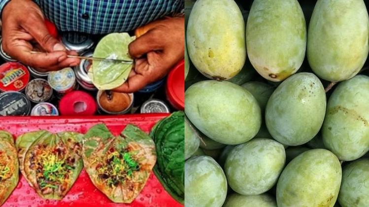 बनारसी पान और बनारसी लंगड़ा आम को मिला GI Tag, चंदौली के आदमचीनी चावल ...