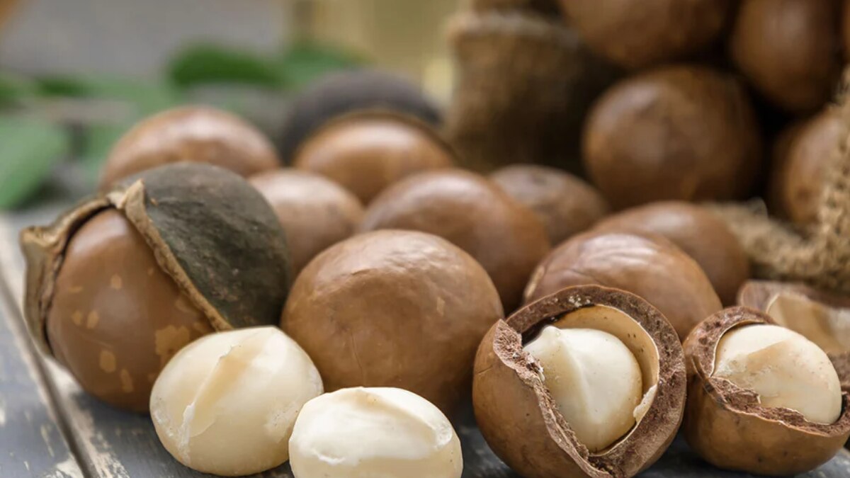 Macadamia Nut: यह है दुनिया का सबसे महंगा बादाम, लगभग 4000 रुपए/किलो है ...