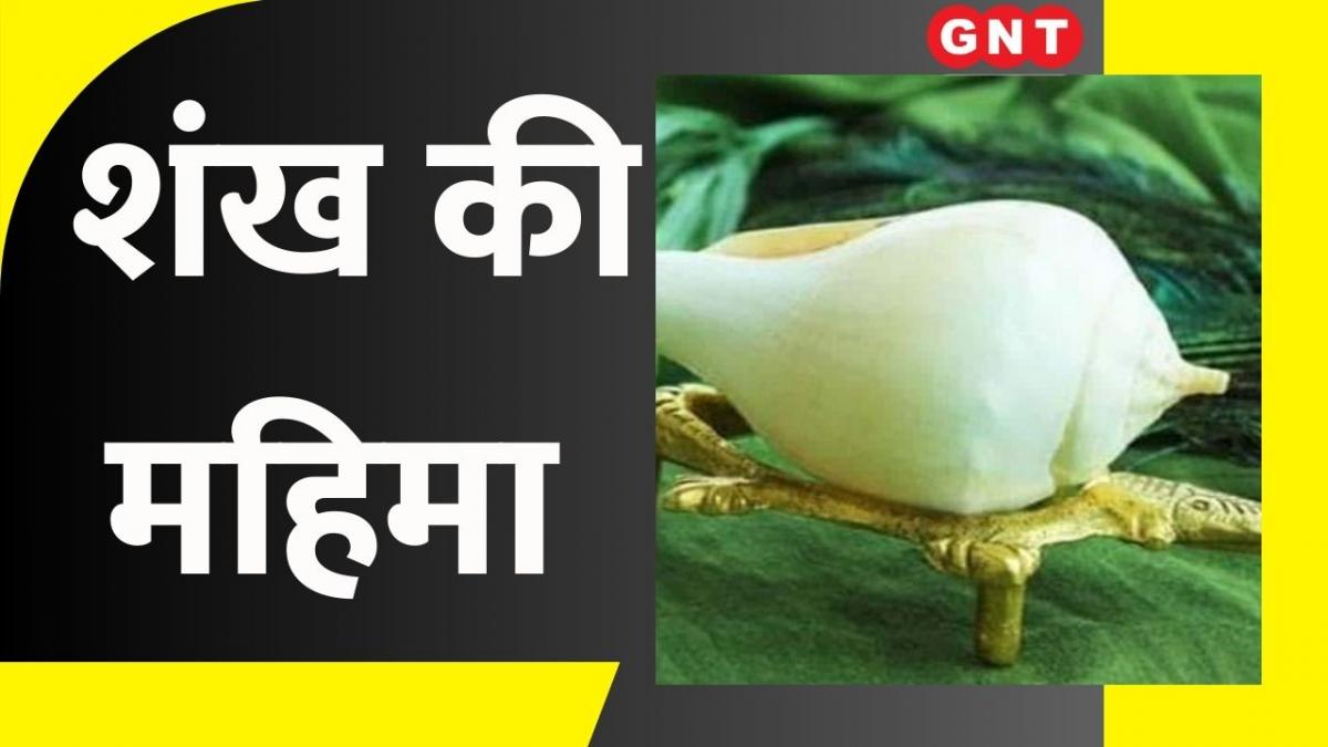 Shankha: शंख कितने प्रकार का होता है? जानिए इसका महत्व - Shows - GNT