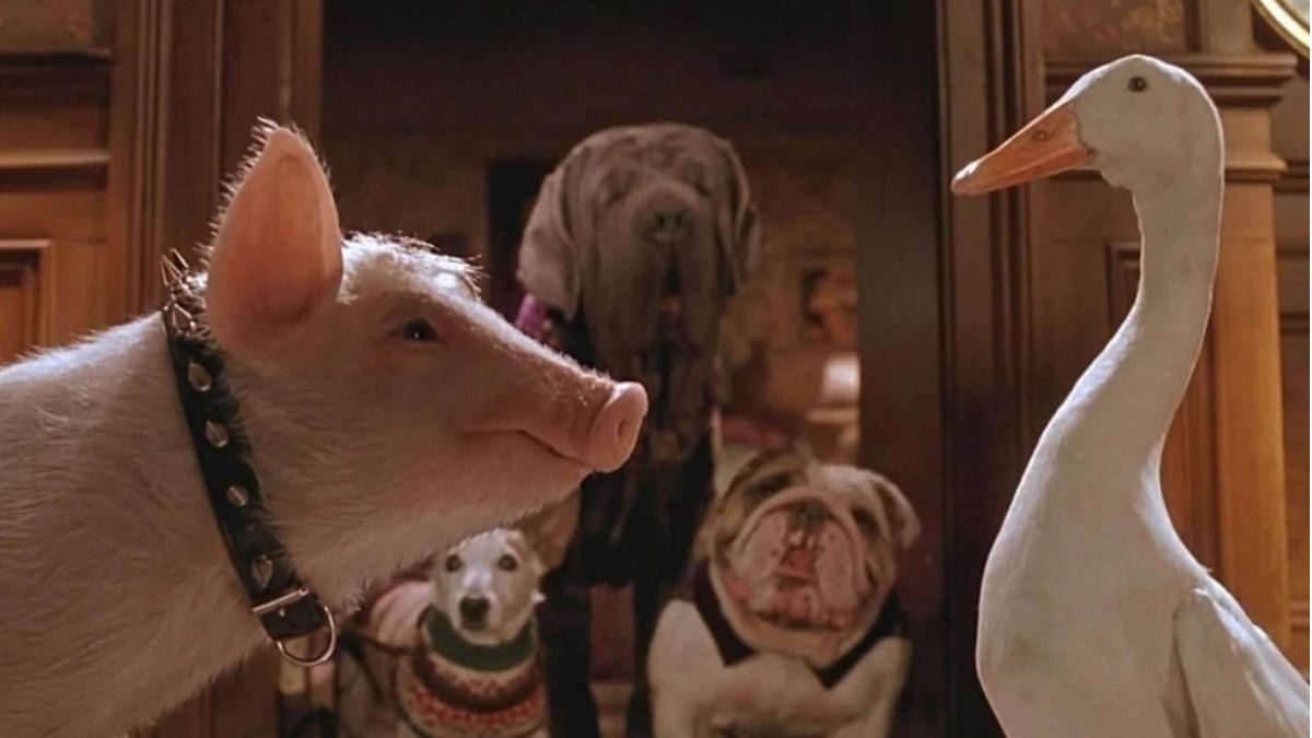 Who said we need human heroes? These 5 live-action movies with animals ...