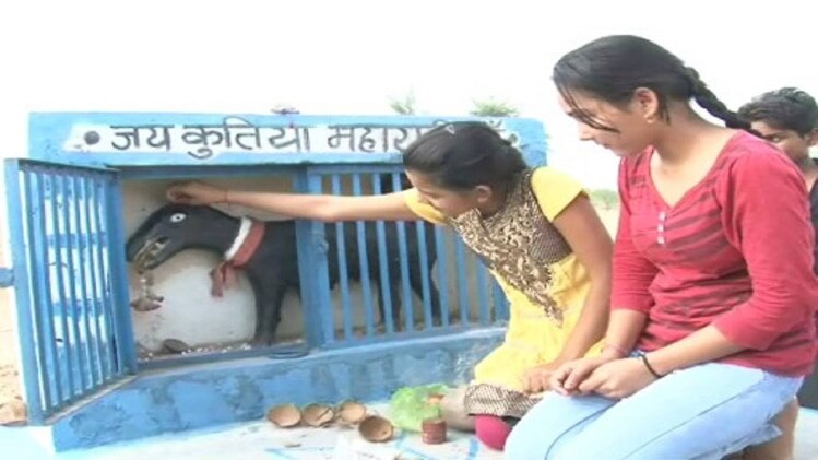 यहां मशहूर है 'कुतिया महारानी' का मंदिर ! - bitch queen bundelkhand ...