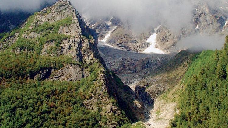 उत्तराखंडः जंगल का कानून - deemed forest canopy density birendra singh ...