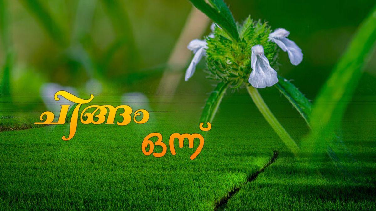 പൊന്നിന്‍ ചിങ്ങ മാസം പിറന്നു... മലയാളക്കര പുതുവര്‍ഷത്തിലേക്ക് ...