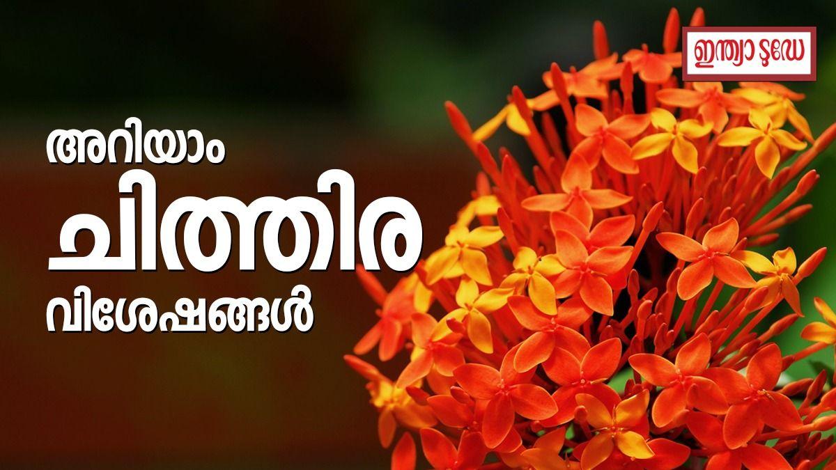 Onam 2023: ഓണം മോടി പിടിപ്പിക്കലിന് തുടക്കം; ഇന്ന് ചിത്തിര - Chithira ...