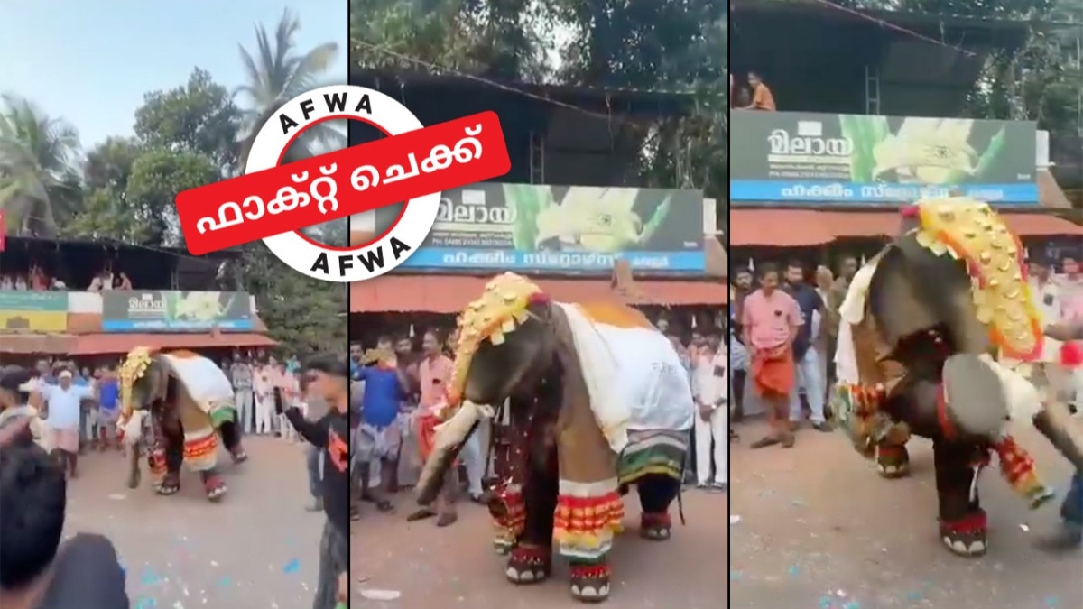 Fact Check: നൃത്തം ചെയ്യുന്ന ആന- വീഡിയോയുടെ സത്യമറിയാം - Fact Check ...