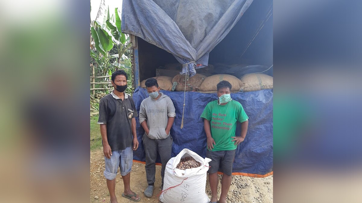 Nagaland: Assam Rifles seizes areca nut worth Rs 45.3 lakh ...