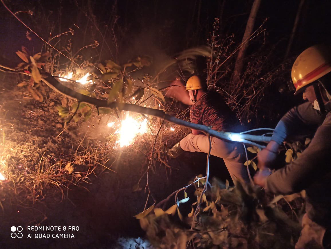 Tragedy averted: Manipur fire service stops devastating forest fire in ...