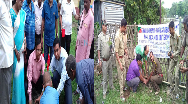 ASSAM: HAILAKANDI DISTRICT OBSERVES 69TH VAN MAHOTSAV - assam ...