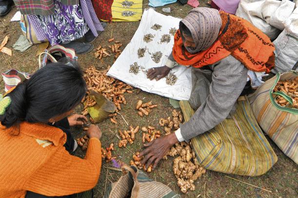 Historic Jonbeel Mela begins in Assam's Morigaon - historic jonbeel ...