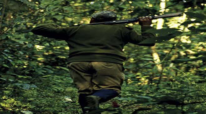 ASSAM: RHINO PROTECTION FORCE TO BE RAISED SOON - assam rhino ...