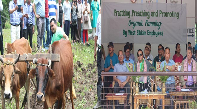 SIKKIM: CELEBRATIONS HELD TO PROMOTE ORGANIC FARMING IN THE STATE ...