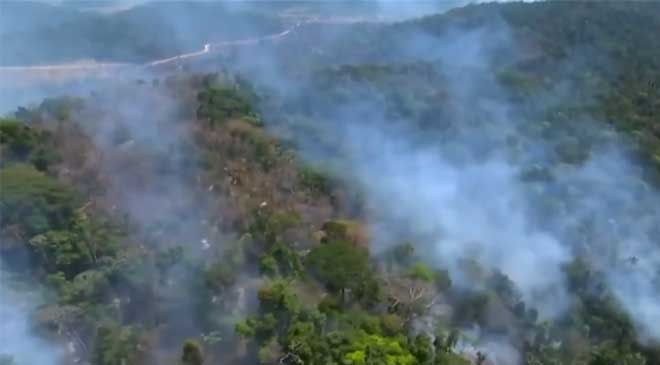 'Lung of Earth' on Fire: Amazon Rainforest Records 74,000 Fires in 2019 ...