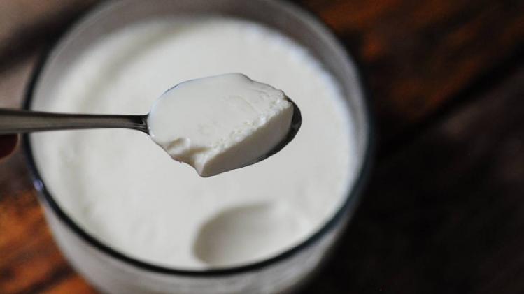 Assam: 15 children fall ill after eating contaminated curd from sweet ...