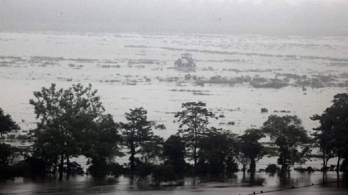 Assam on high alert after Bhutan releases excess dam water amidst flood ...