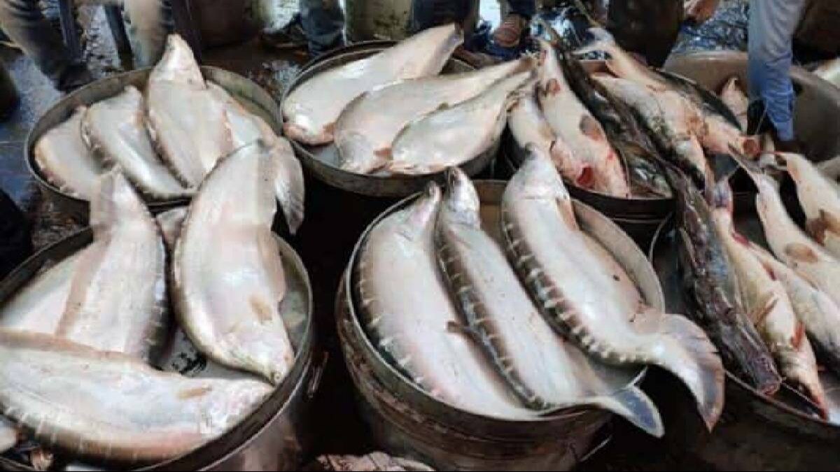 Assam: Fish markets flooded with customers on the occasion of Uruka ...