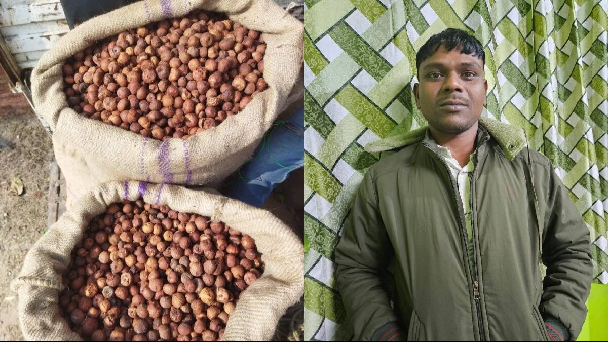 Assam: Dhubri police bust areca nut smuggling operation in Chagolia ...