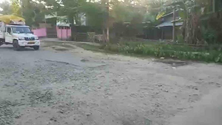 Assam: Historical Dhodar Ali in deplorable Condition - Assam