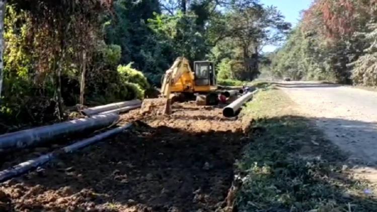 Assam: 800 trees chopped off to pave way for laying down of Oil India ...