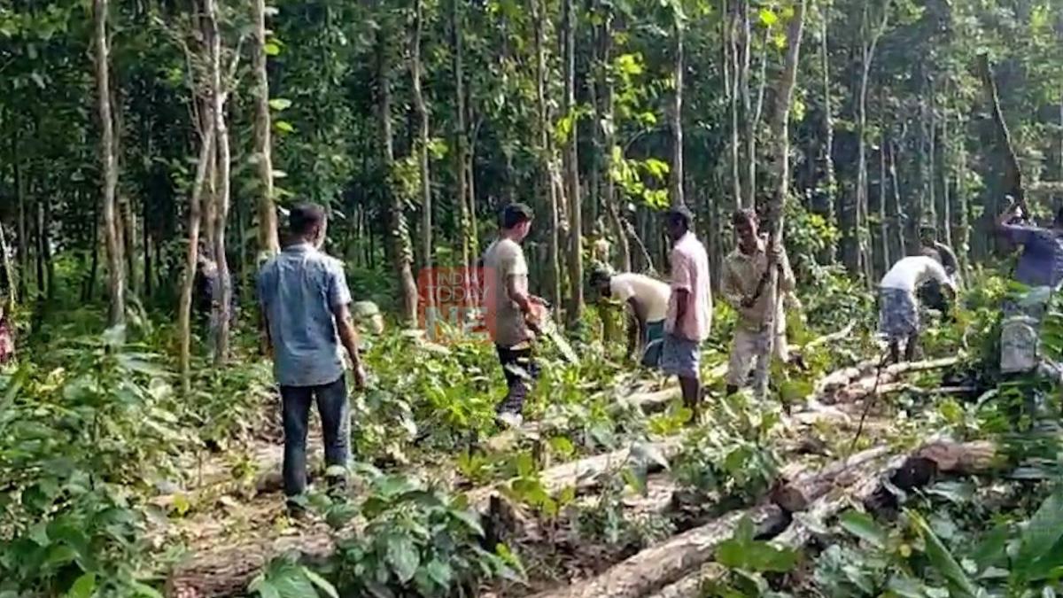 Assam: Locals protest cutting down of trees within reserved forest area ...