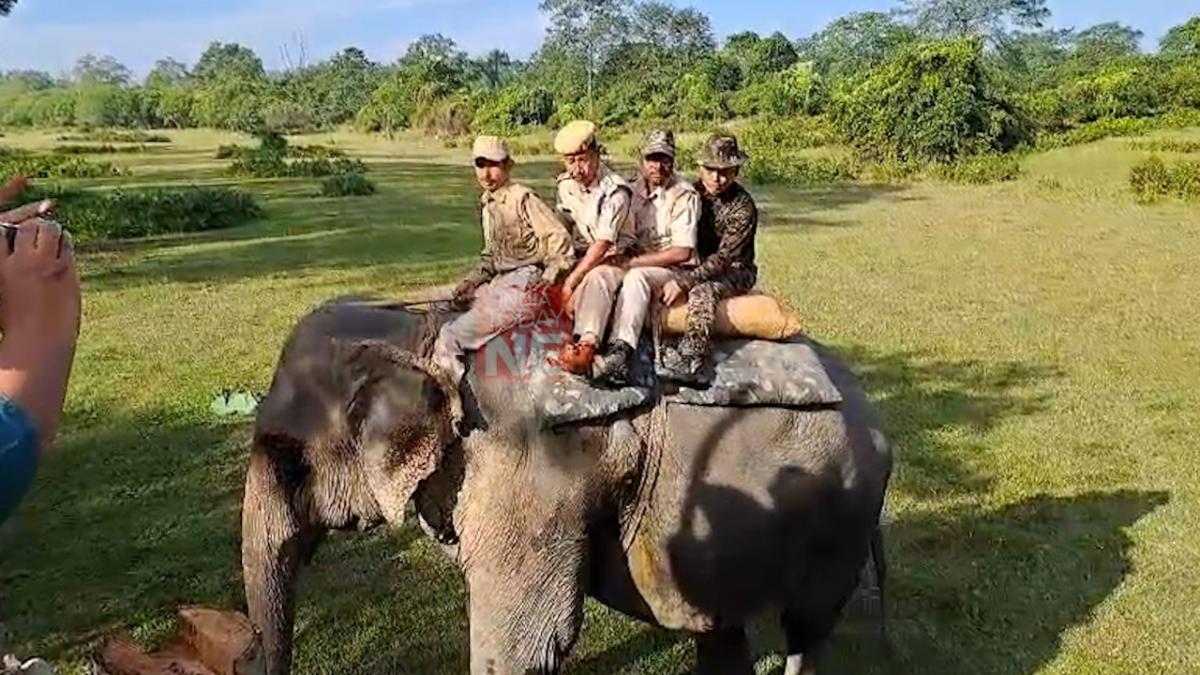 Assam: Bura-Chapori Wildlife Sanctuary starts elephant safari for ...