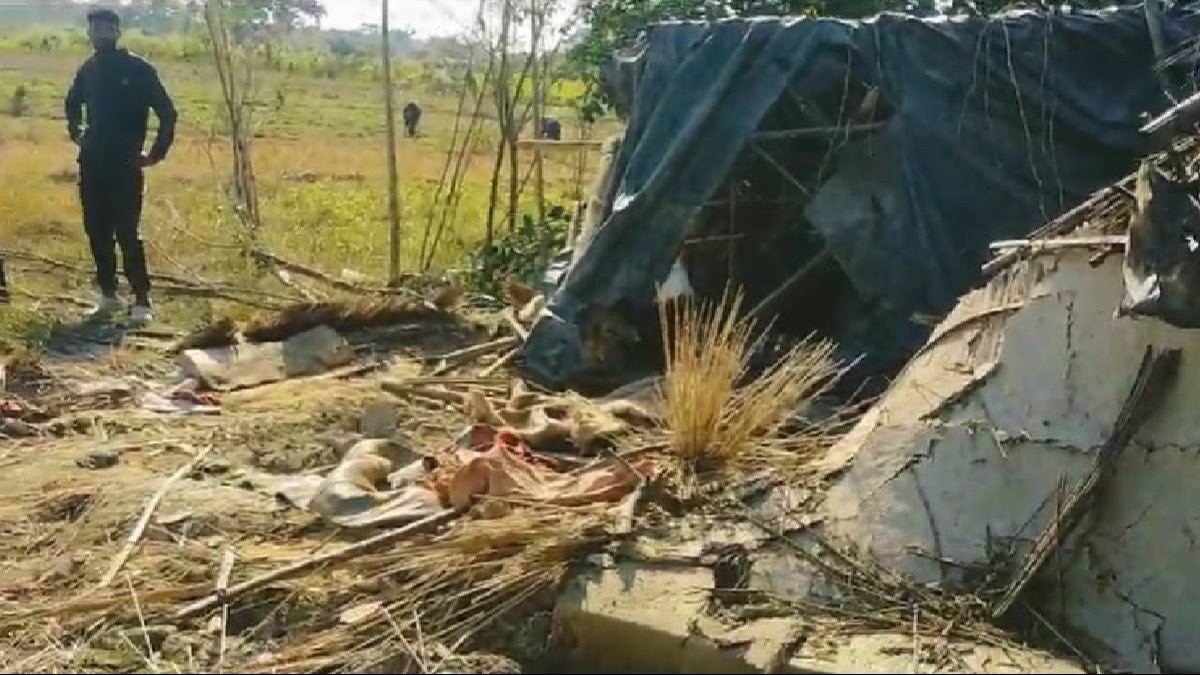 Assam: Elephant attack claims life of 8-year-old girl in Gossaigaon ...
