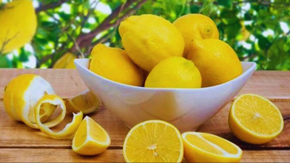 देश के इन 5 राज्यों में नींबू का होता है 65 फीसदी उत्पादन, जानें कौन सा ...
