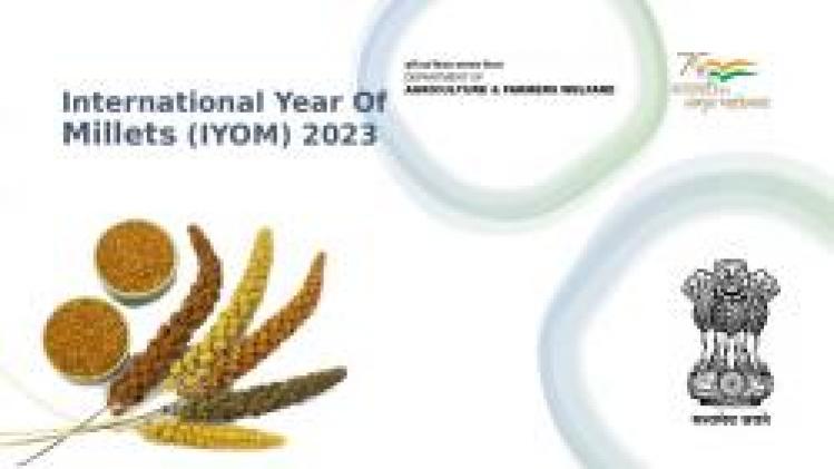 Millets: शरीर में खून की कमी से होता है एनीमिया, इन मोटे अनाजों में ...