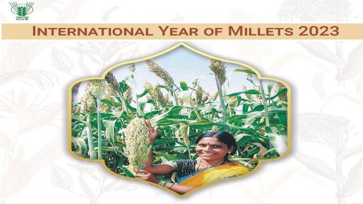 International year of millet: बाजरे के बारे में सही जवाब जीता सकता है ...