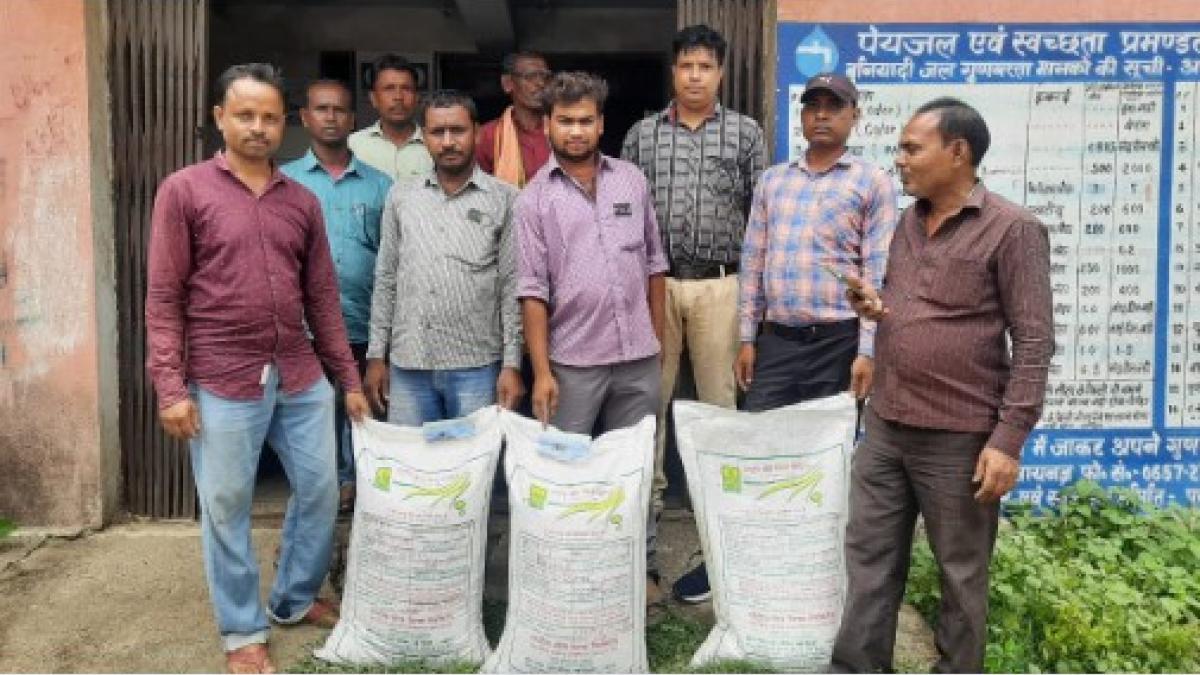 अनुदान में मिल रहे धान बीज के वितरण में बरती जा रही अनियमितता, किसानों ...