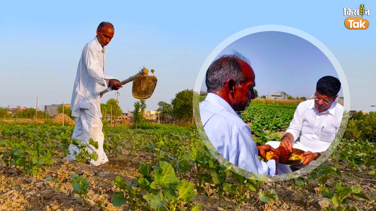 Food Par: नोएडा के इस फूड पार्क से खुलेगा 6 राज्यों के किसानों की ...