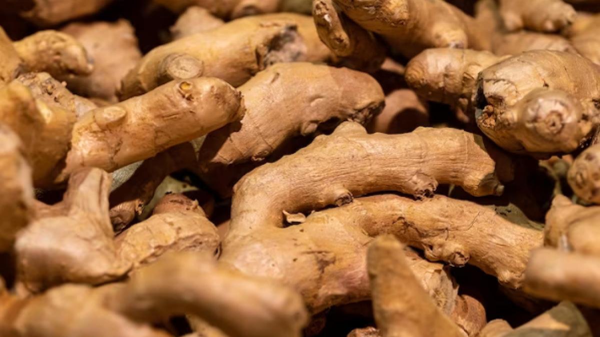 Ginger Price: टमाटर को पछाड़ कर आगे निकला अदरक, खुले बाजार में 400 ...