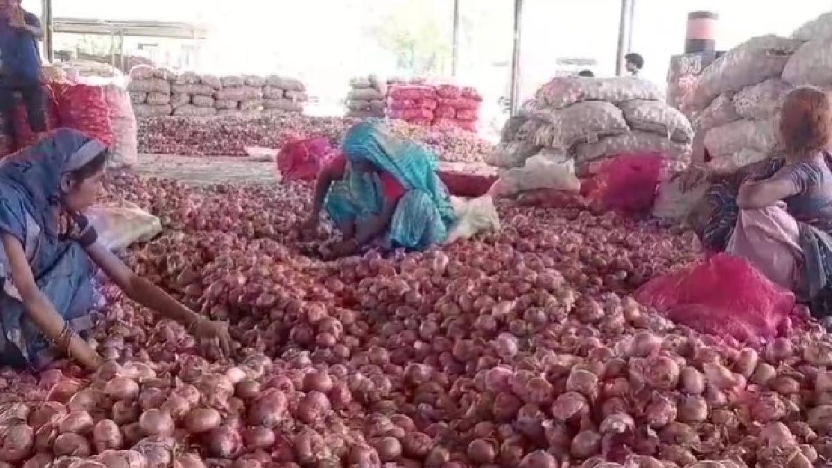 Onion Price: प्याज नहीं होगा महंगा, सरकार ने कर ली है तैयारी, पढ़ें ये रिपोर्ट - government ...