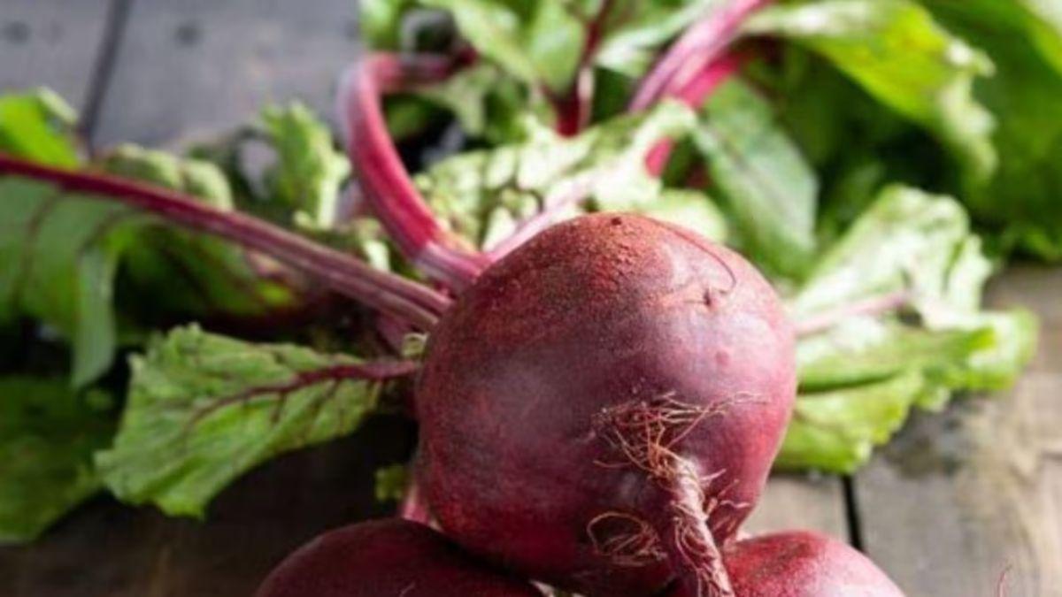Beetroot Variety : चुकंदर की इन पांच किस्मों से मिलता है अच्छा उत्पादन ...