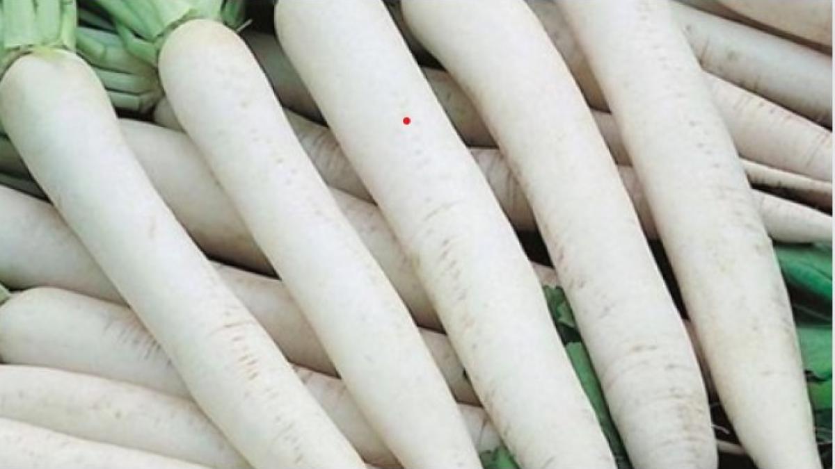 Raddish Farming: बेहतर क्वालिटी की मूली उगाने के लिए क्या करें किसान ...