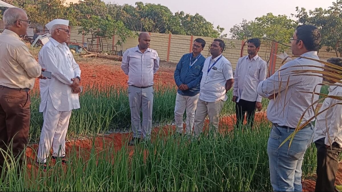 प्याज की फसल का जायजा लेने नाशिक पहुंची केंद्र के टीम, उत्पादन का लगाएगी अनुमान - Central team ...