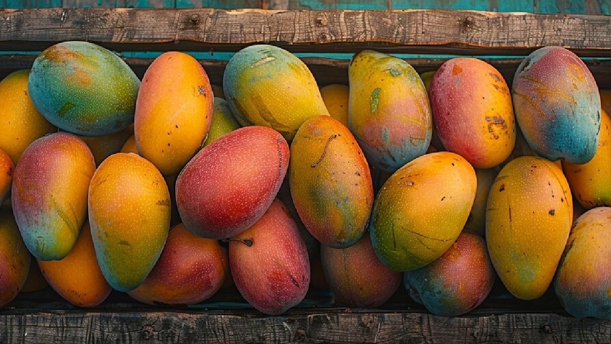 Fruits Price: इस सीजन आम 37 फीसदी महंगा बिका, लीची समेत दूसरें फलों की ...