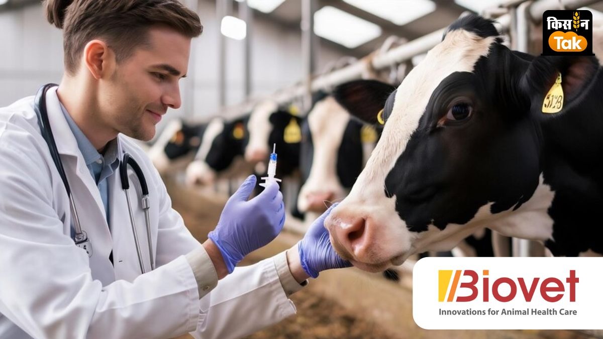 पशुओं को लंपी रोग से बचाएगी Biovet की वैक्सीन, ICAR के सहयोग से बनाने में लगे 3 साल - Biovet ...