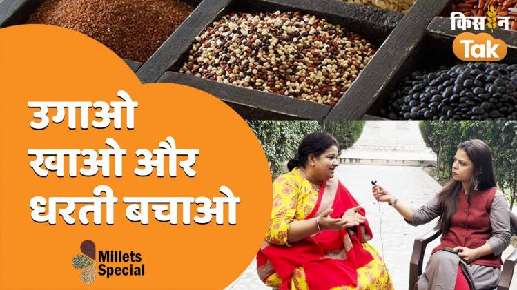 International Millet Year: क्या है मोटा अनाज और क्यों है जरूरी, जानें ...
