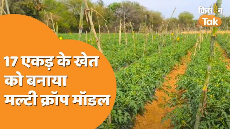 किसान ने 17 एकड़ के खेत को बनाया मल्टी क्रॉप का अनूठा मॉडल, देखें वीडियो