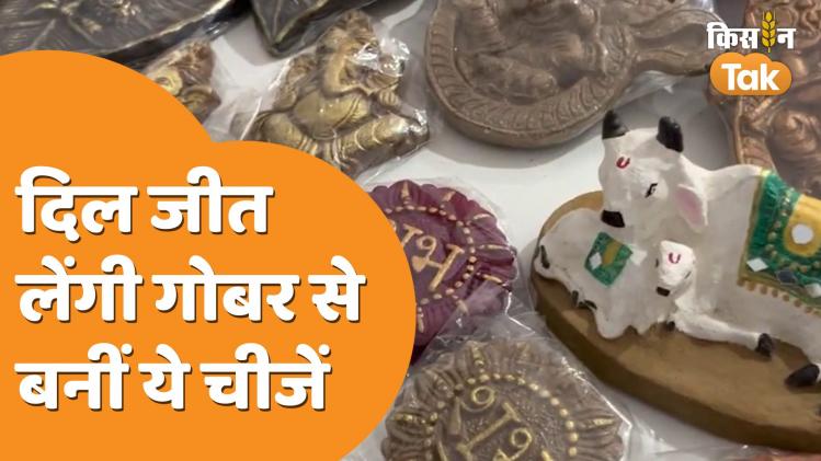 Video- दिव्यांग कपल का हौसला बुलंद, गाय के गोबर से बना रहे हैं ये सामान