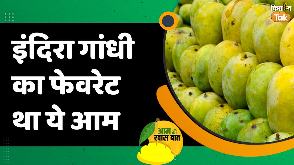 Mango Series: ये है आम का राजा, जानिए इसकी पूरी कहानी , देखें Video