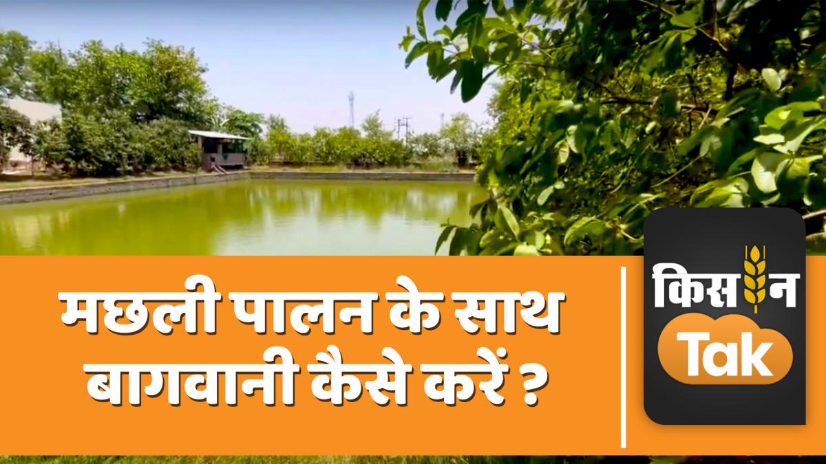 Integrated Farming System में मछली पालन के साथ बागवानी कैसे करें, जानें ...