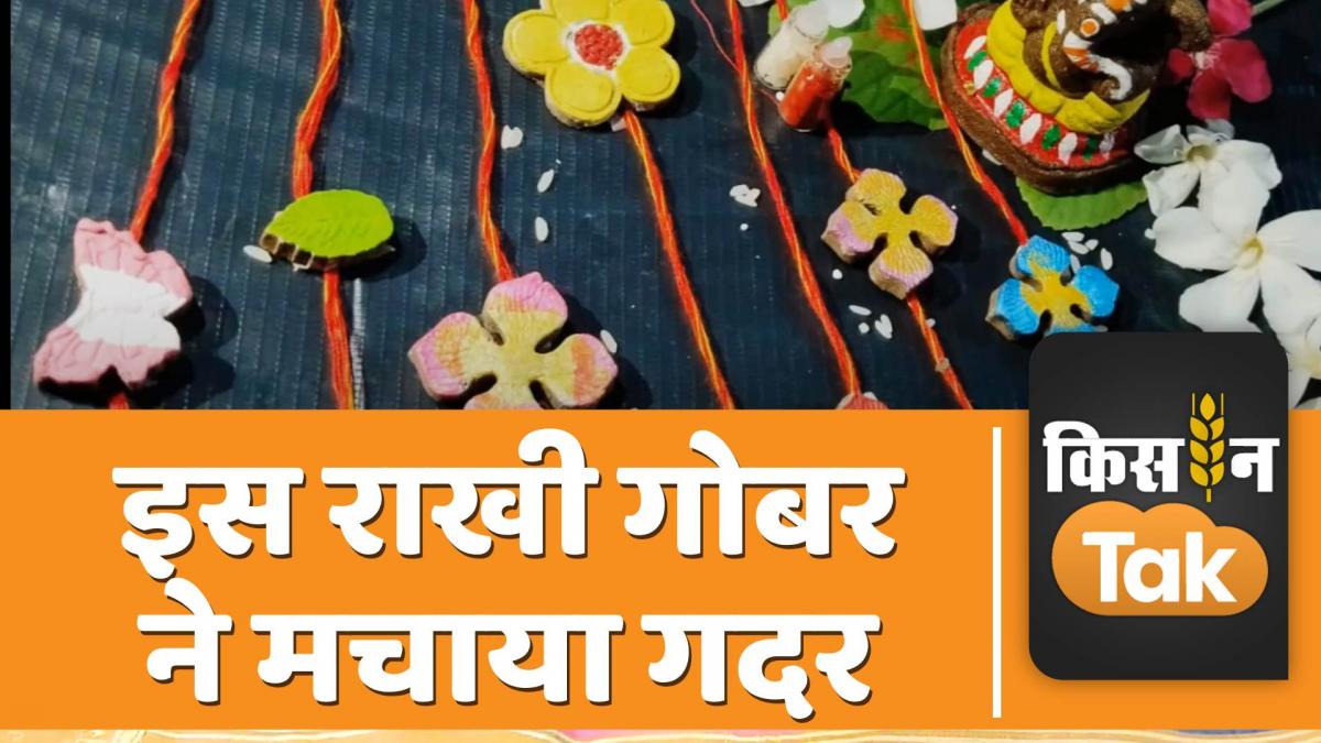 इस बार भाई की कलाई पर बांधे गोबर से बनी राखी, देखें वीडियो